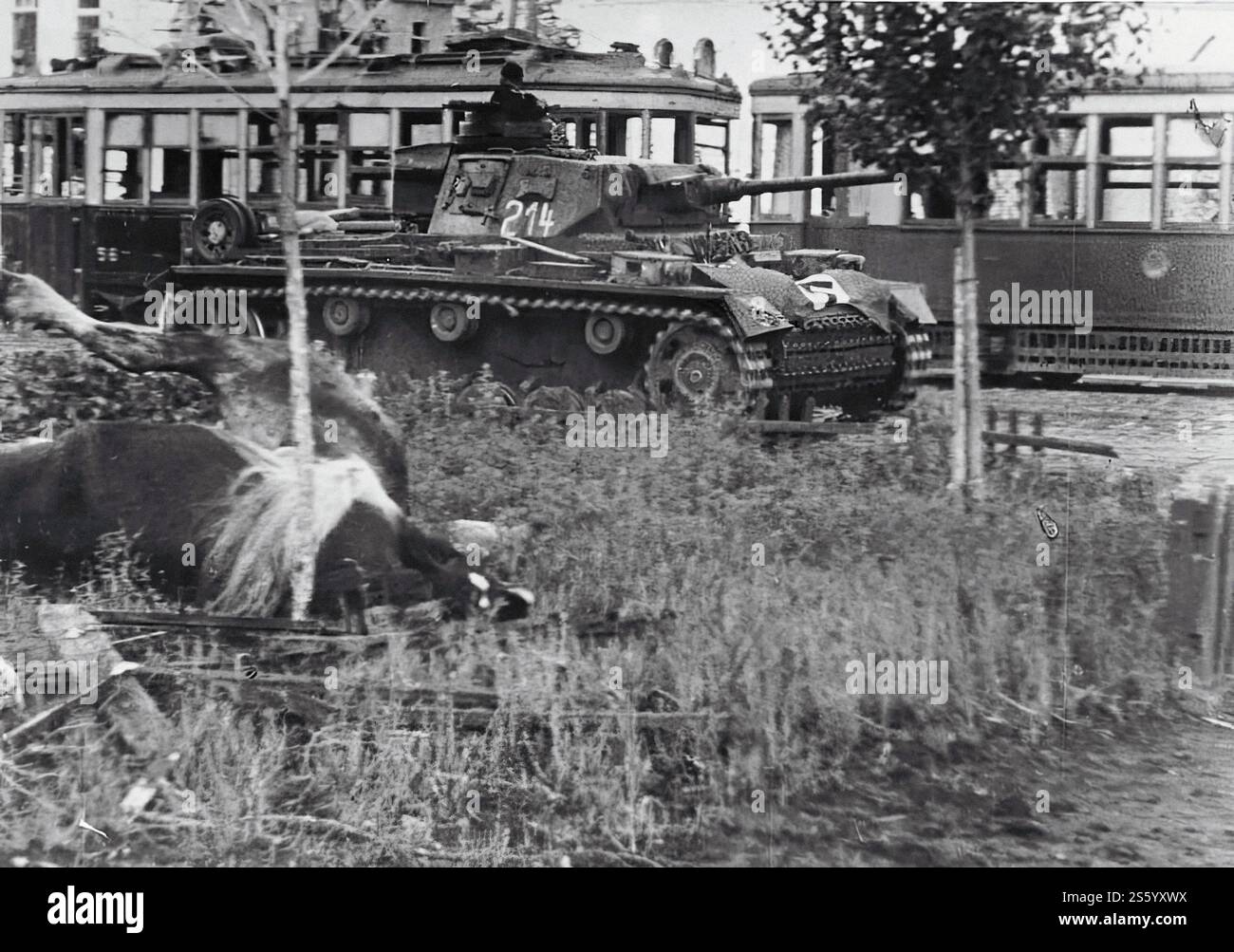 German medium tank PzKpfw III Ausf. J, armed with long-barreled 50mm ...