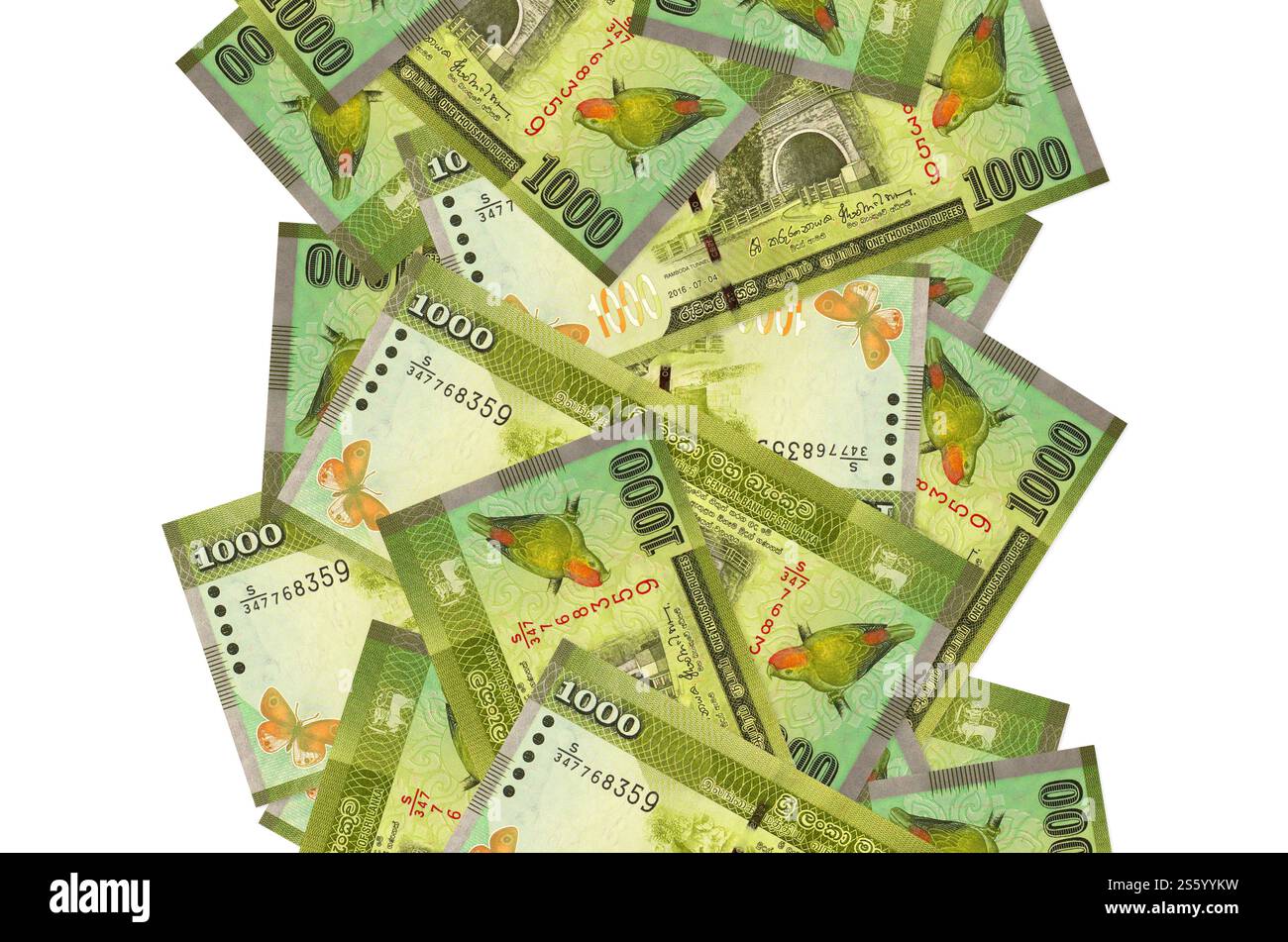 1000 Sri Lankan rupees bills flying down isolated on white. Many banknotes falling with white ...