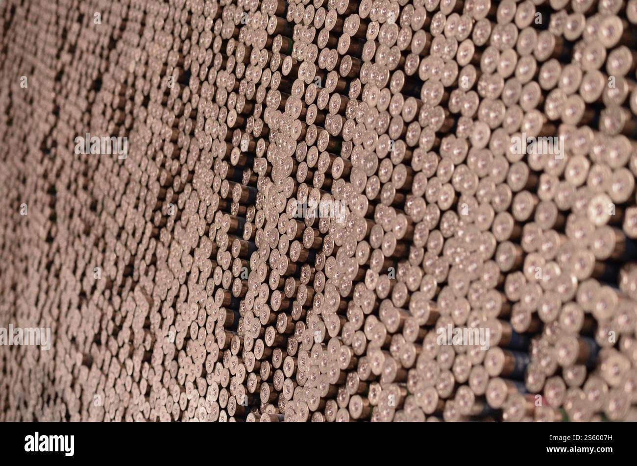 Pattern of 12 gauge cartridges for shotgun bullets. Shells for hunting ...