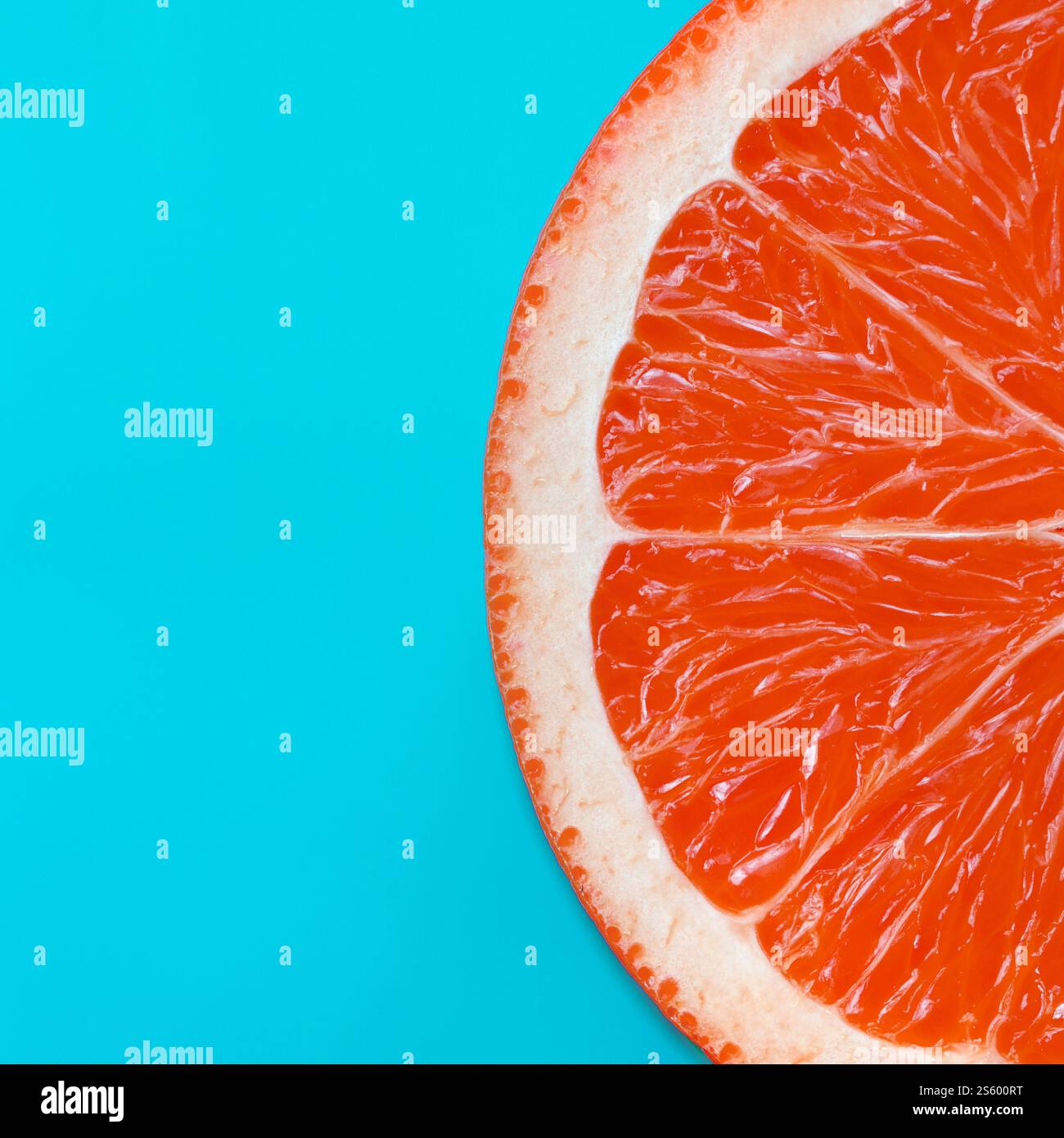 Top view of an one grapefruit slice on bright background in blue color ...