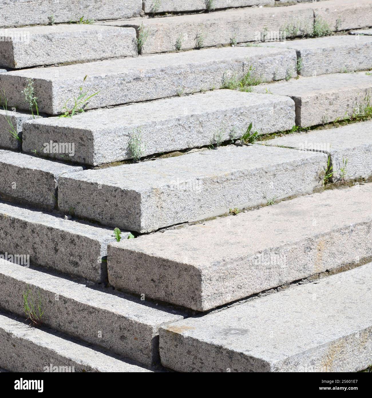 Stair concrete staircase at the entrance to the building. Concrete ...