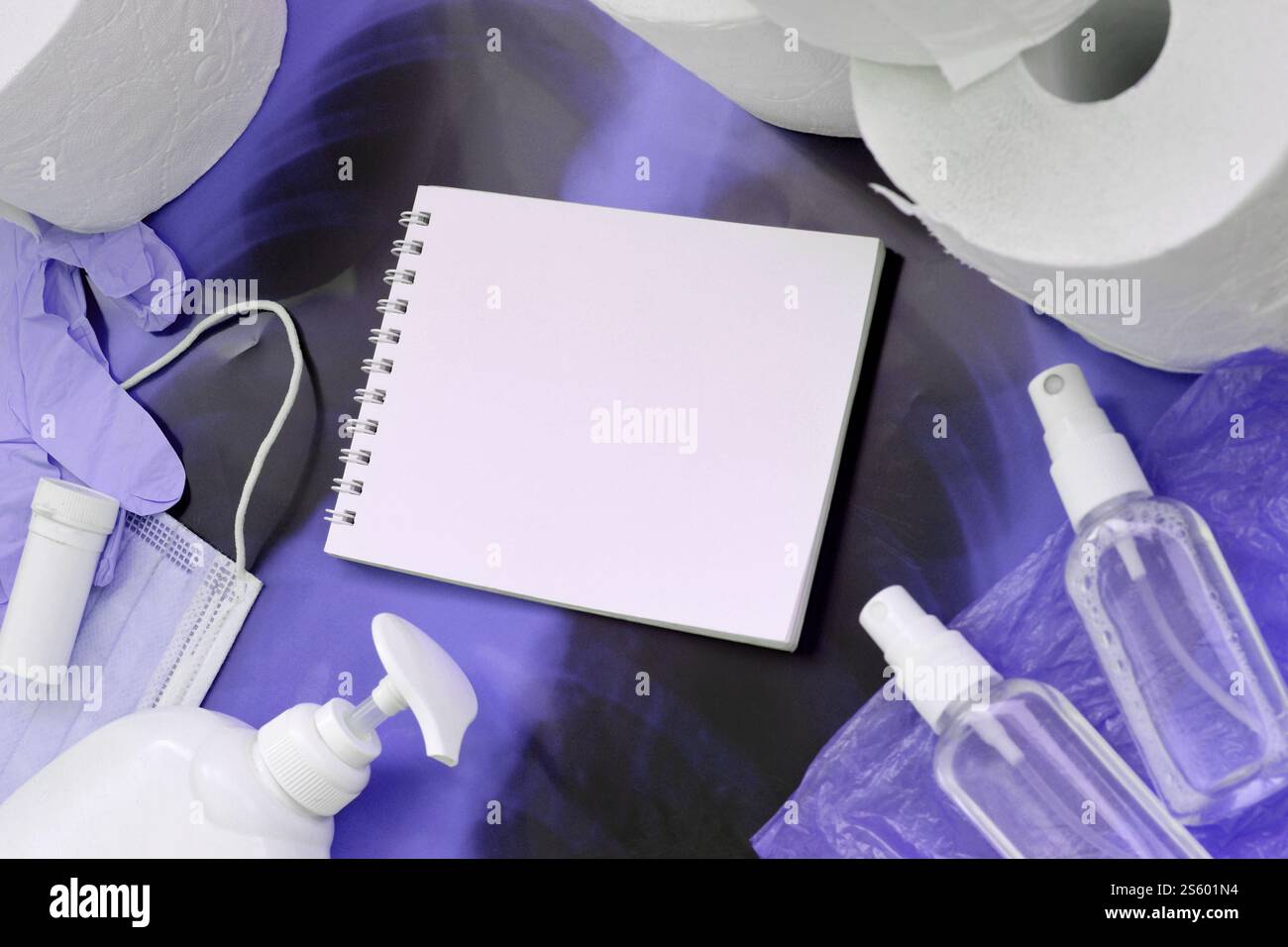 Set of items for Covid-19 quarantine. Empty notepad page and toilet ...