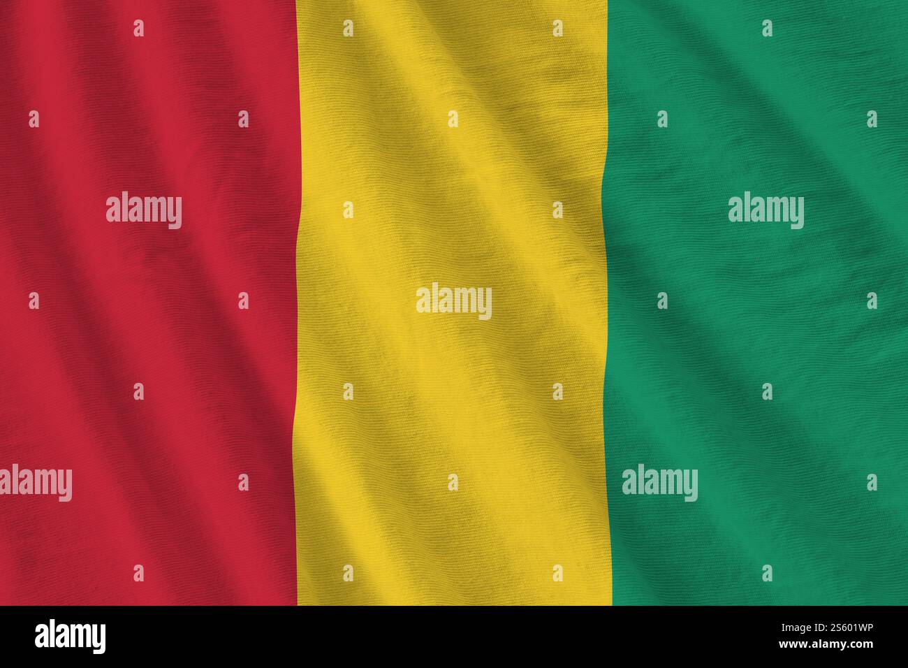 Guinea flag with big folds waving close up under the studio light ...