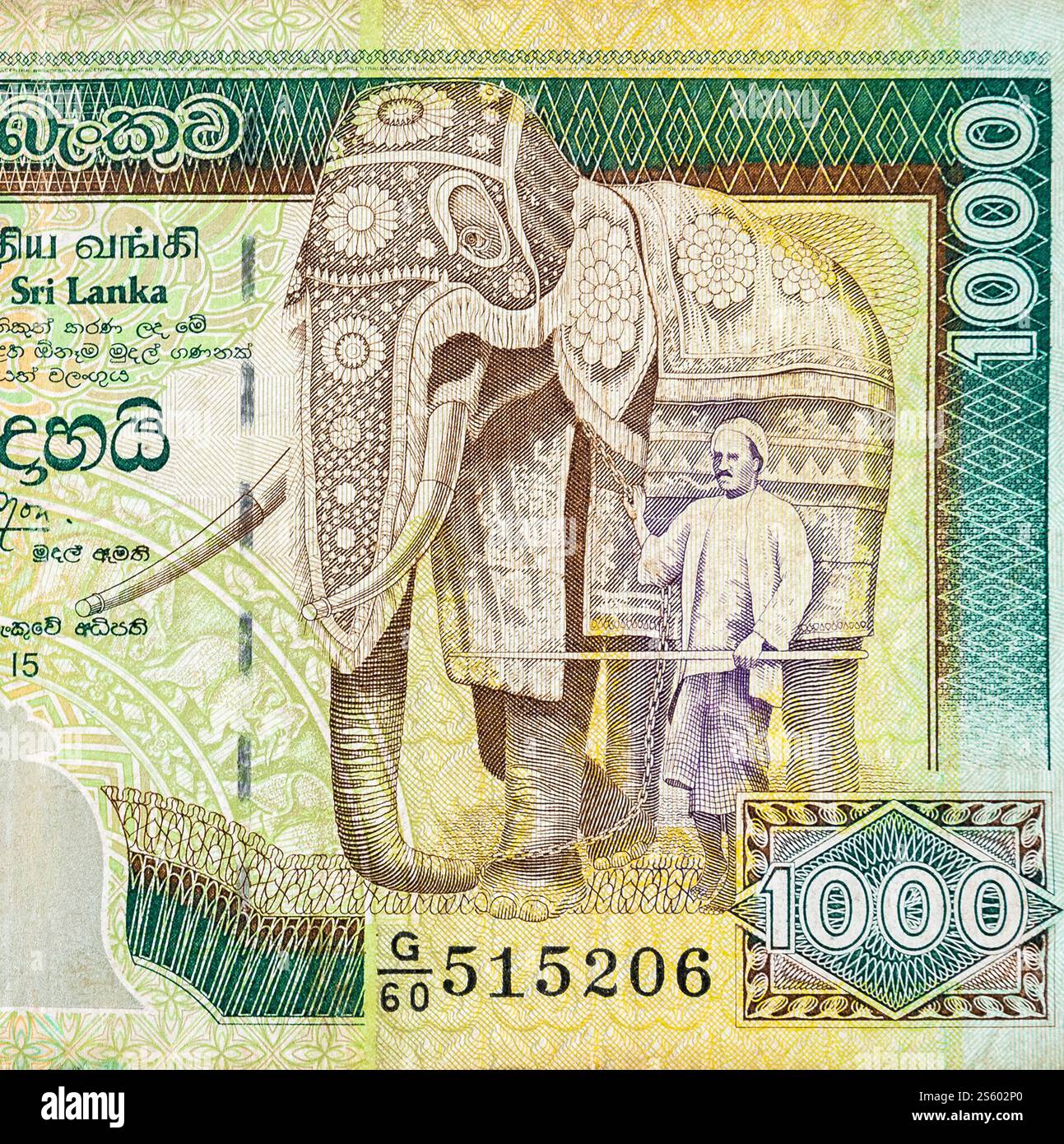 1000 Sri Lankan rupees money bill. National currency of Sri Lanka ...