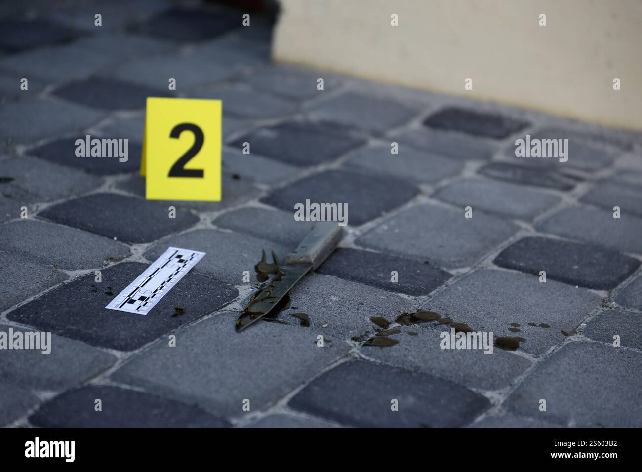 Evidence with yellow CSI marker for evidence numbering on the ...
