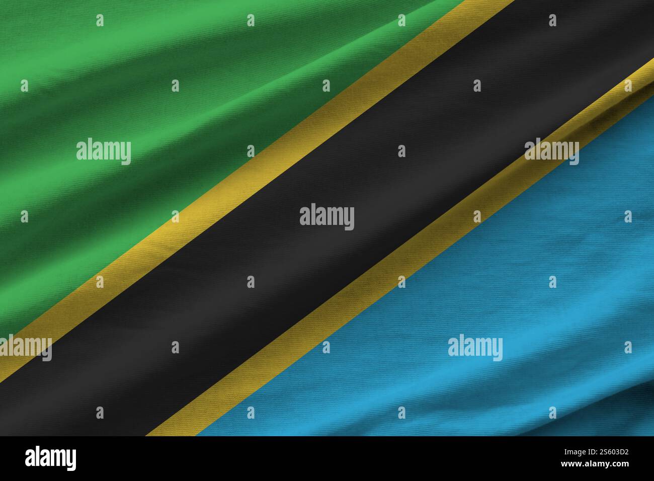 Tanzania flag with big folds waving close up under the studio light ...