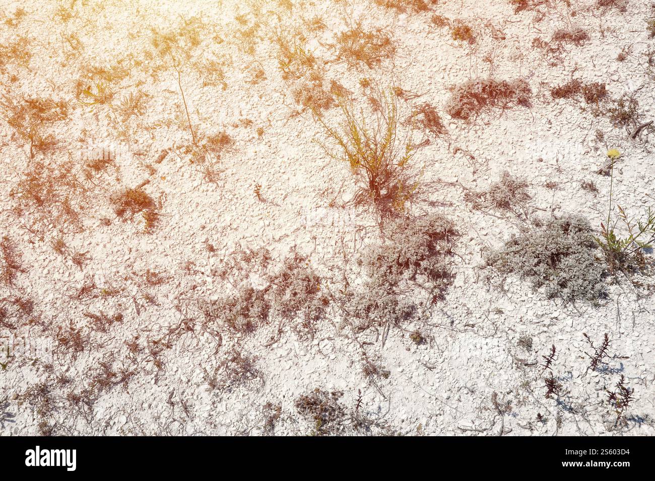 Chalk mining limestone quarry. Opencast mining chalk surface with dry ...