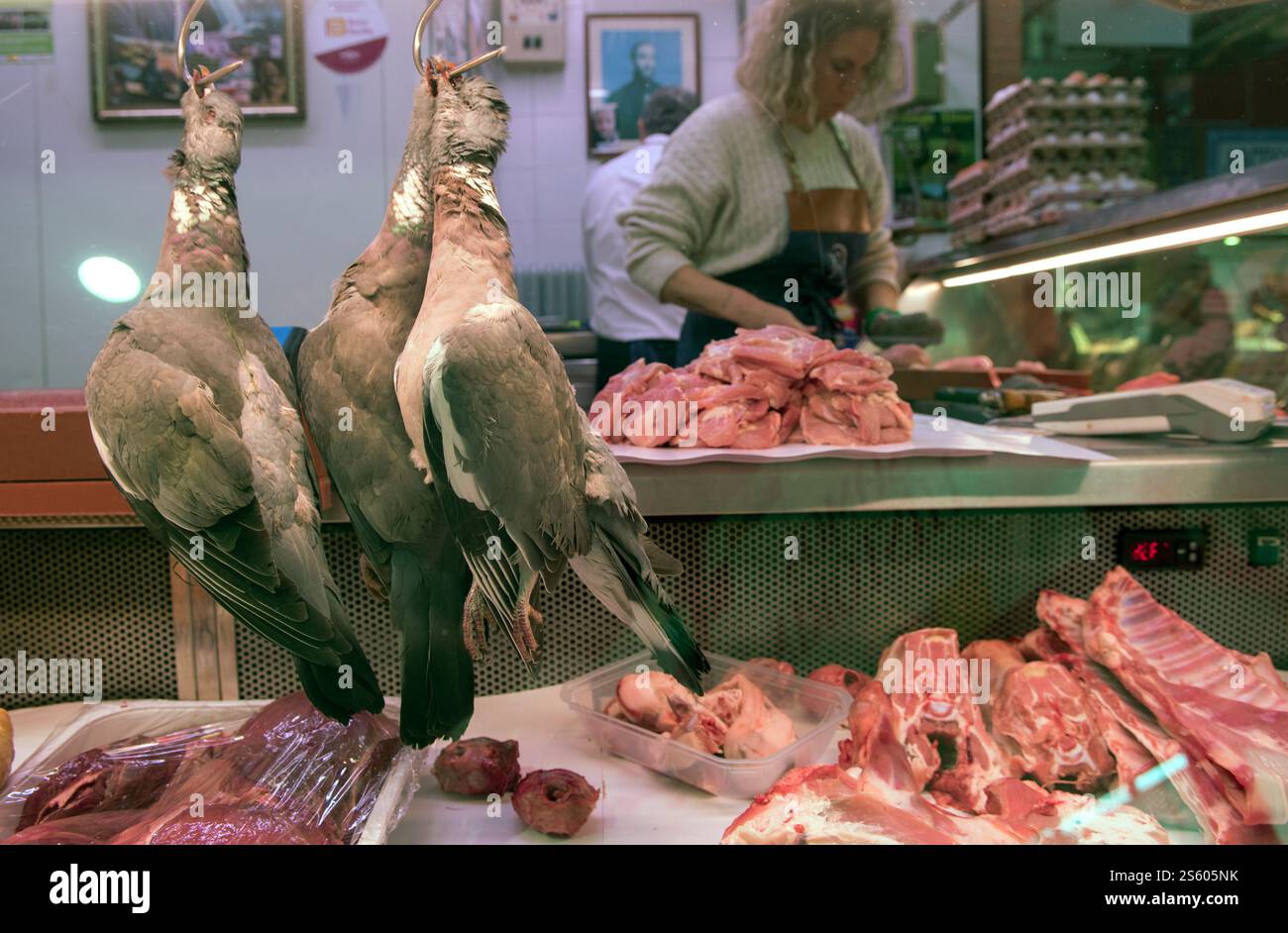 Squab game, squab pigeons hanging up in a butchers shop ready to buy at ...