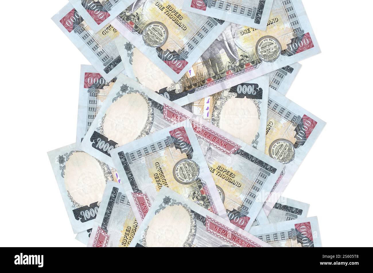 1000 Nepalese rupees bills flying down isolated on white. Many ...