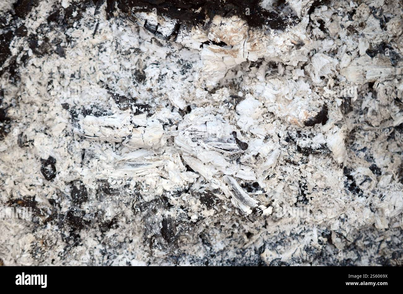 Pile of ashes after the fire went out grunge background texture. Burned out ashes close up ...