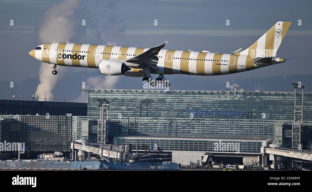 PRODUCTION - 14 January 2025, Hesse, Frankfurt/Main: A gold and white ...