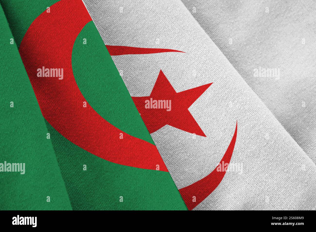 Algeria flag with big folds waving close up under the studio light ...