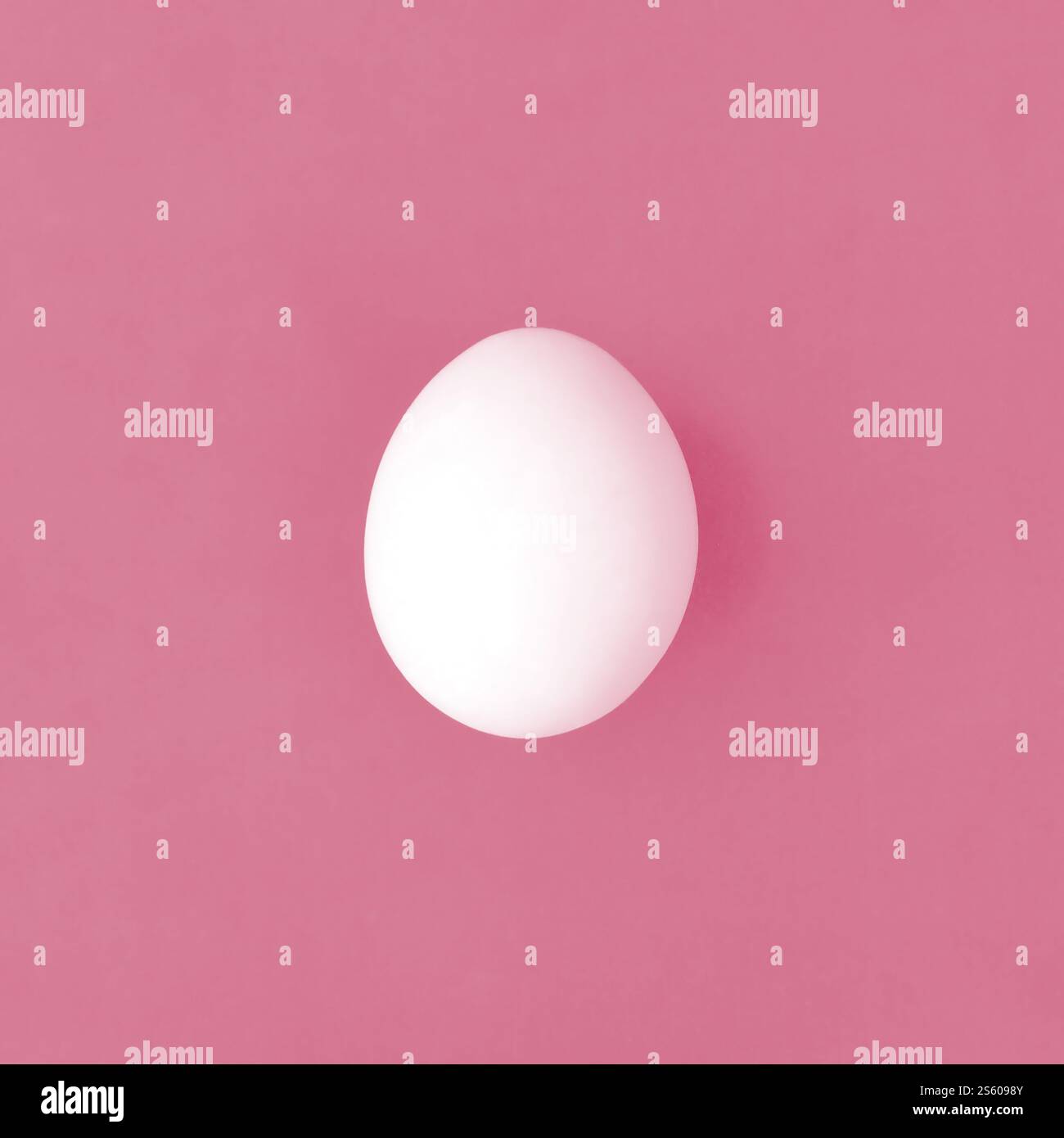 One white easter egg on a bright background Image toned in Viva Magenta, color of the 2023 year ...