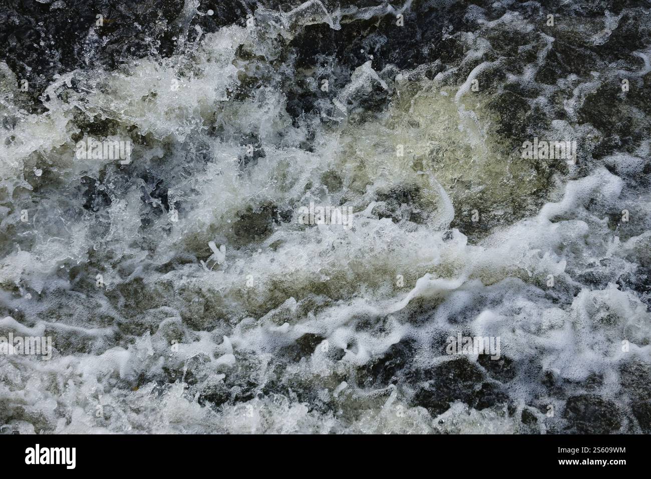 Waves of water of the river and the sea meet each other during high ...