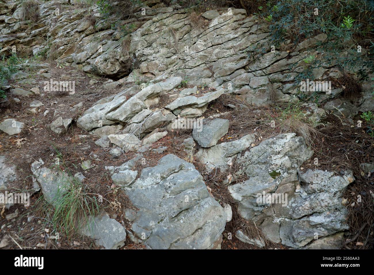Moss on a rock face relief and texture of stone with patterns. Stone ...