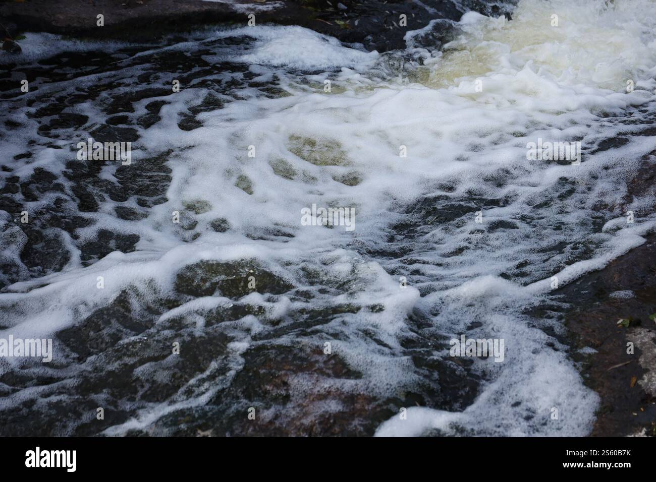Waves of water of the river and the sea meet each other during high ...