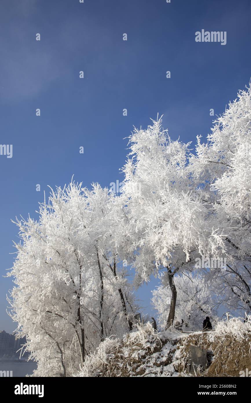 Rime scenery around the Songhua River in Jilin City, northeast China's ...