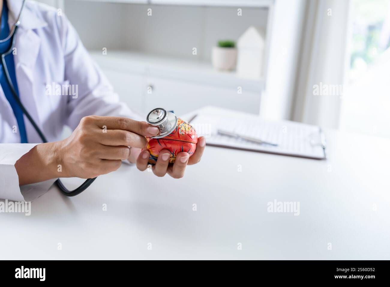 Doctor with anatomical model of human heart Cardiologist supports the ...
