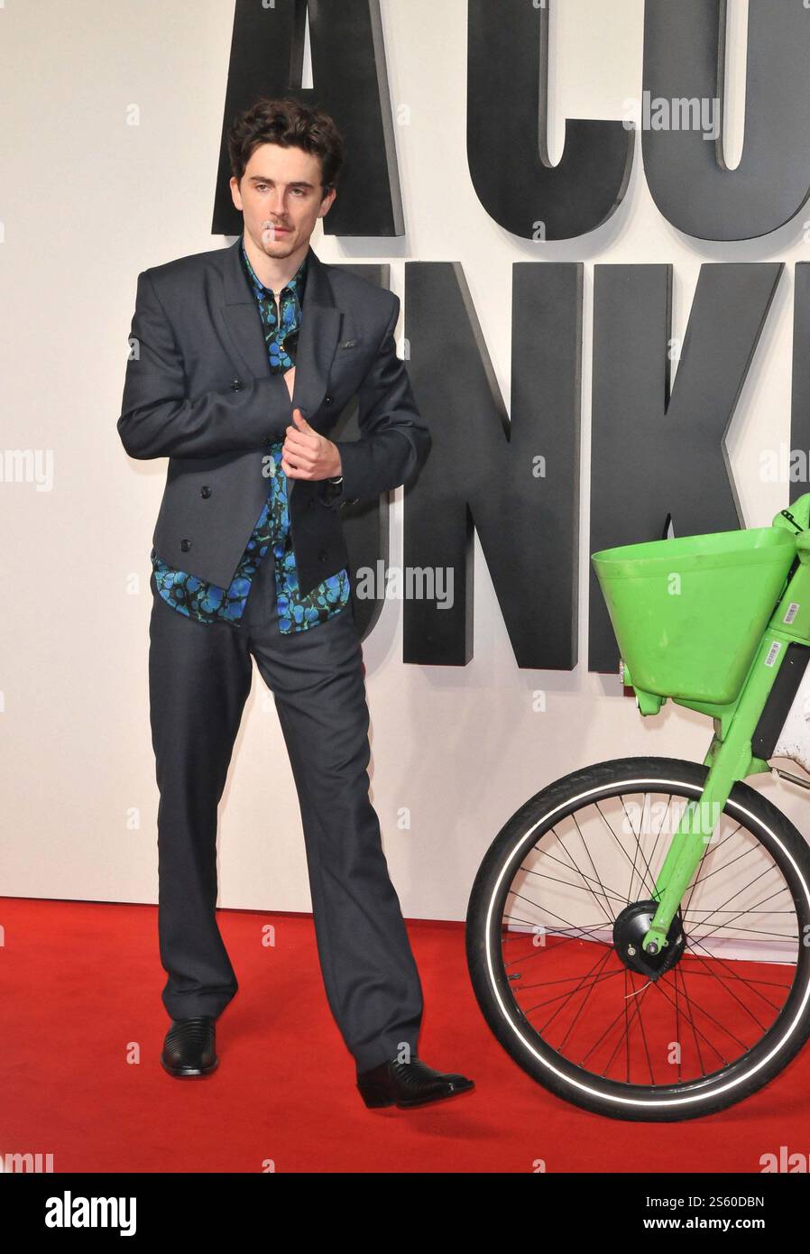 London, UK. 14th Jan, 2025. Timothee Chalamet at the "A Complete Unknown" UK film premiere, BFI ...