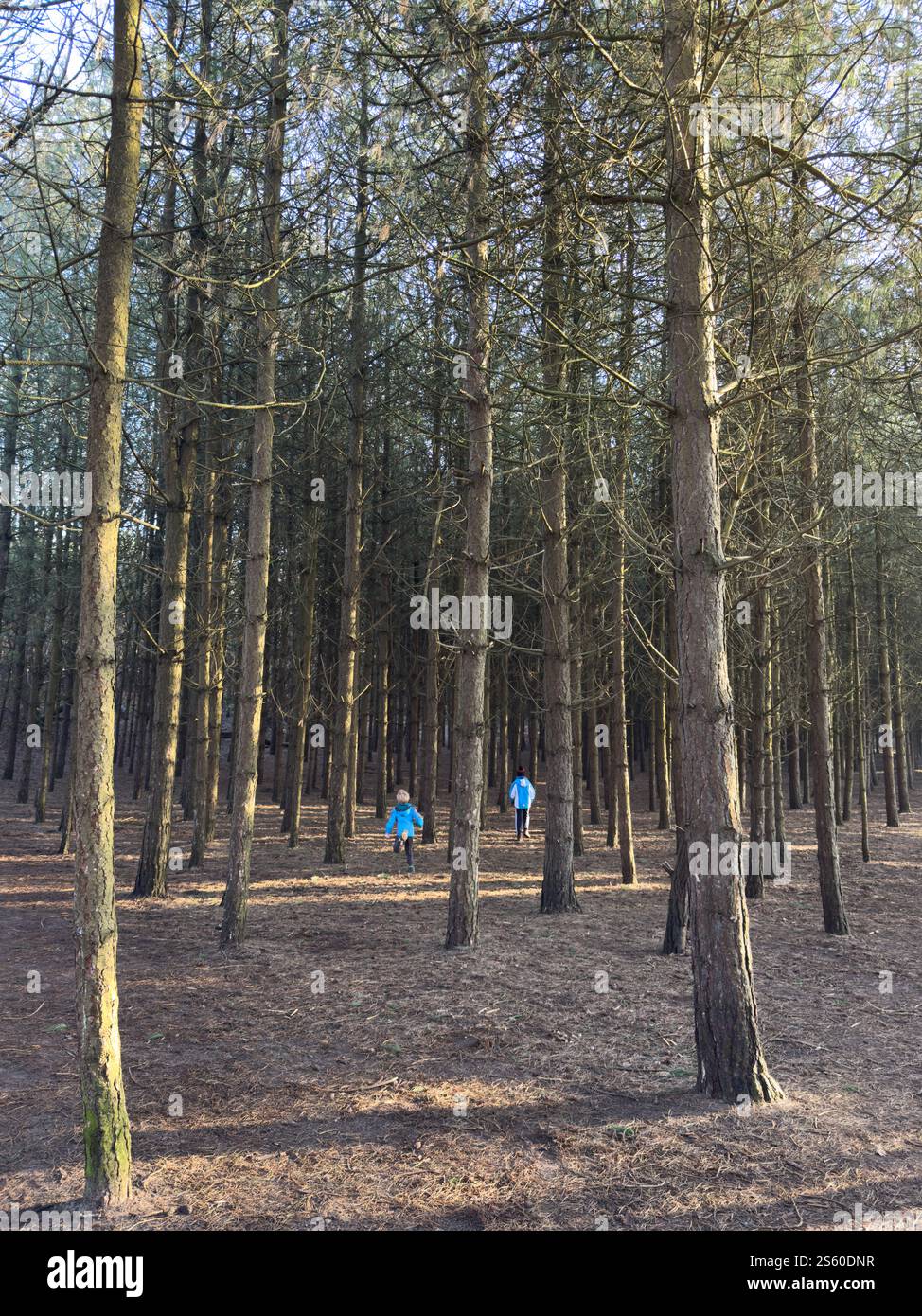 Formby forest sign hi-res stock photography and images - Alamy