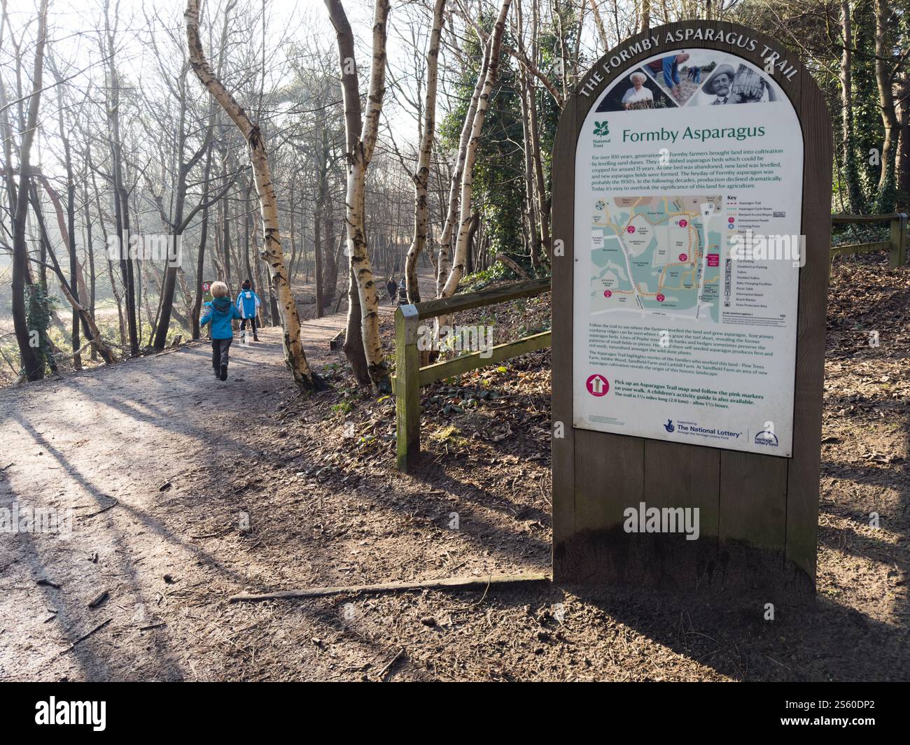 Formby red squirrel reserve. hi-res stock photography and images - Alamy