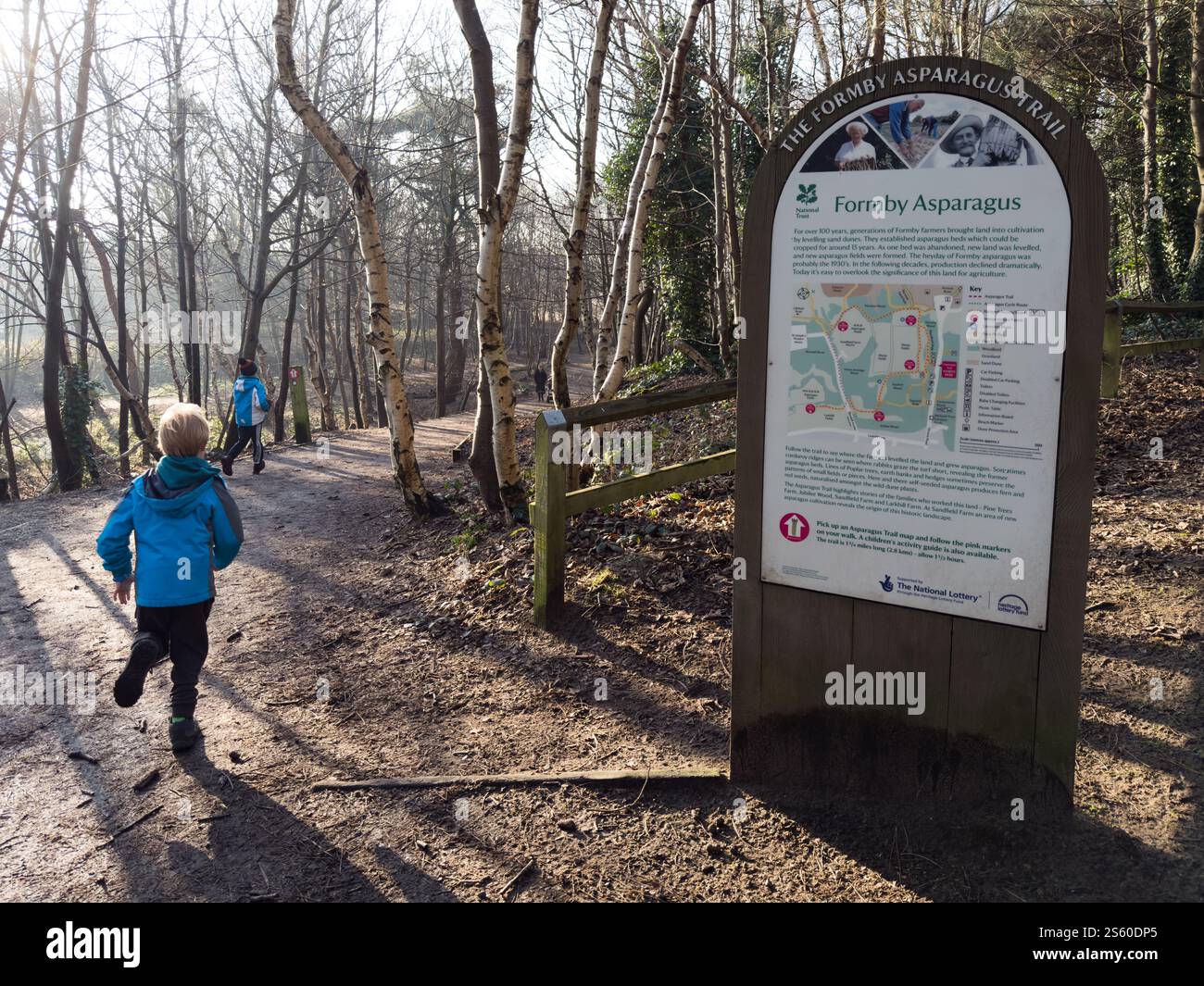 Formby red squirrel reserve. hi-res stock photography and images - Alamy
