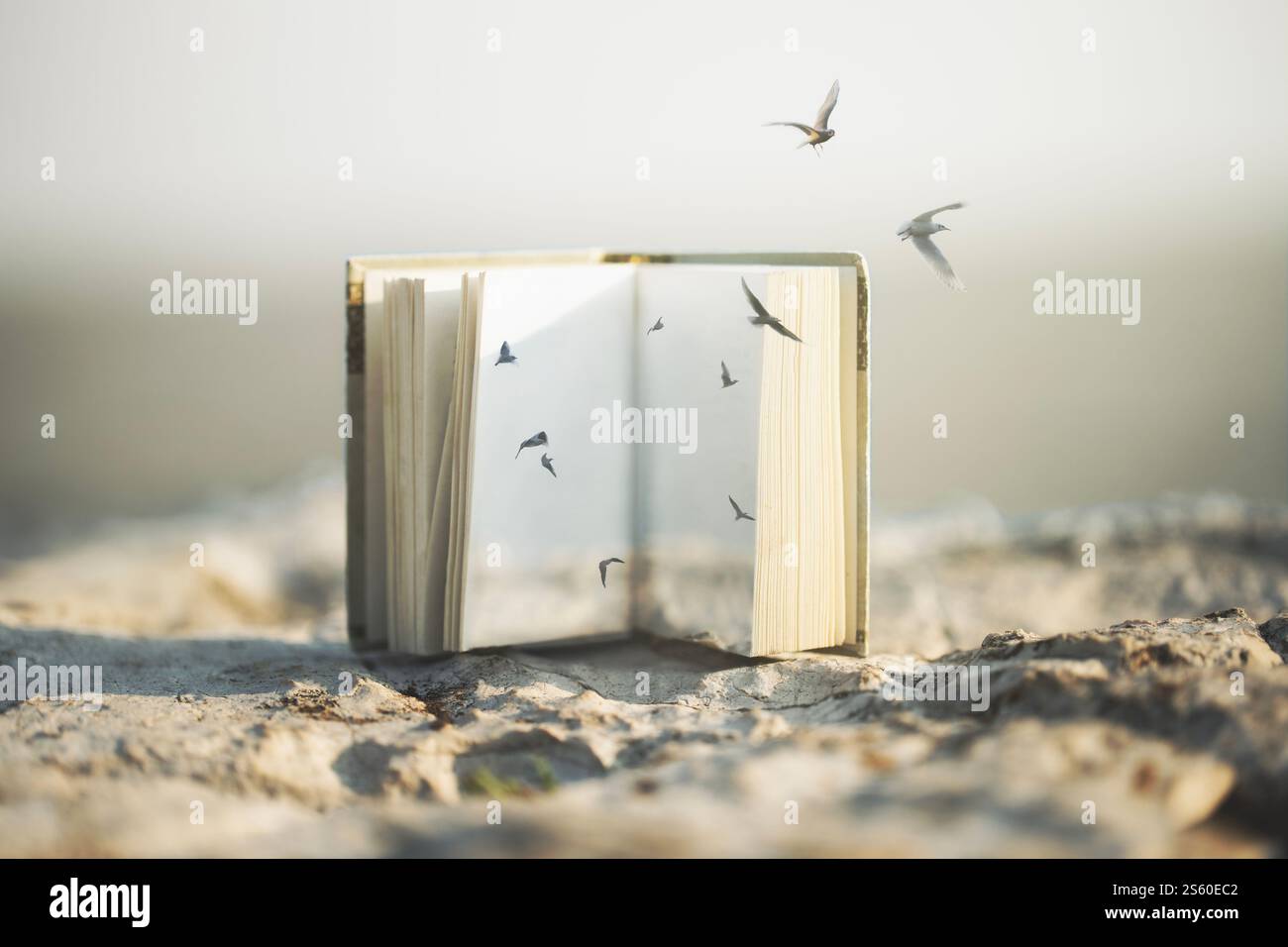 Open Book in Nature with Birds Flying from the Pages to the Sky Stock ...