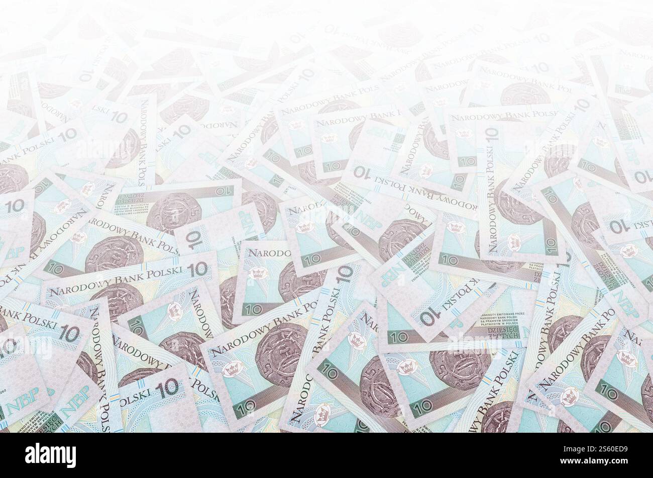 Colored 10 zloty bill of Poland currency bank note. Money bill close up ...