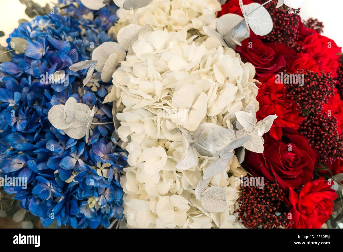 French flag made of blue, white and red flowers. French flag made of ...