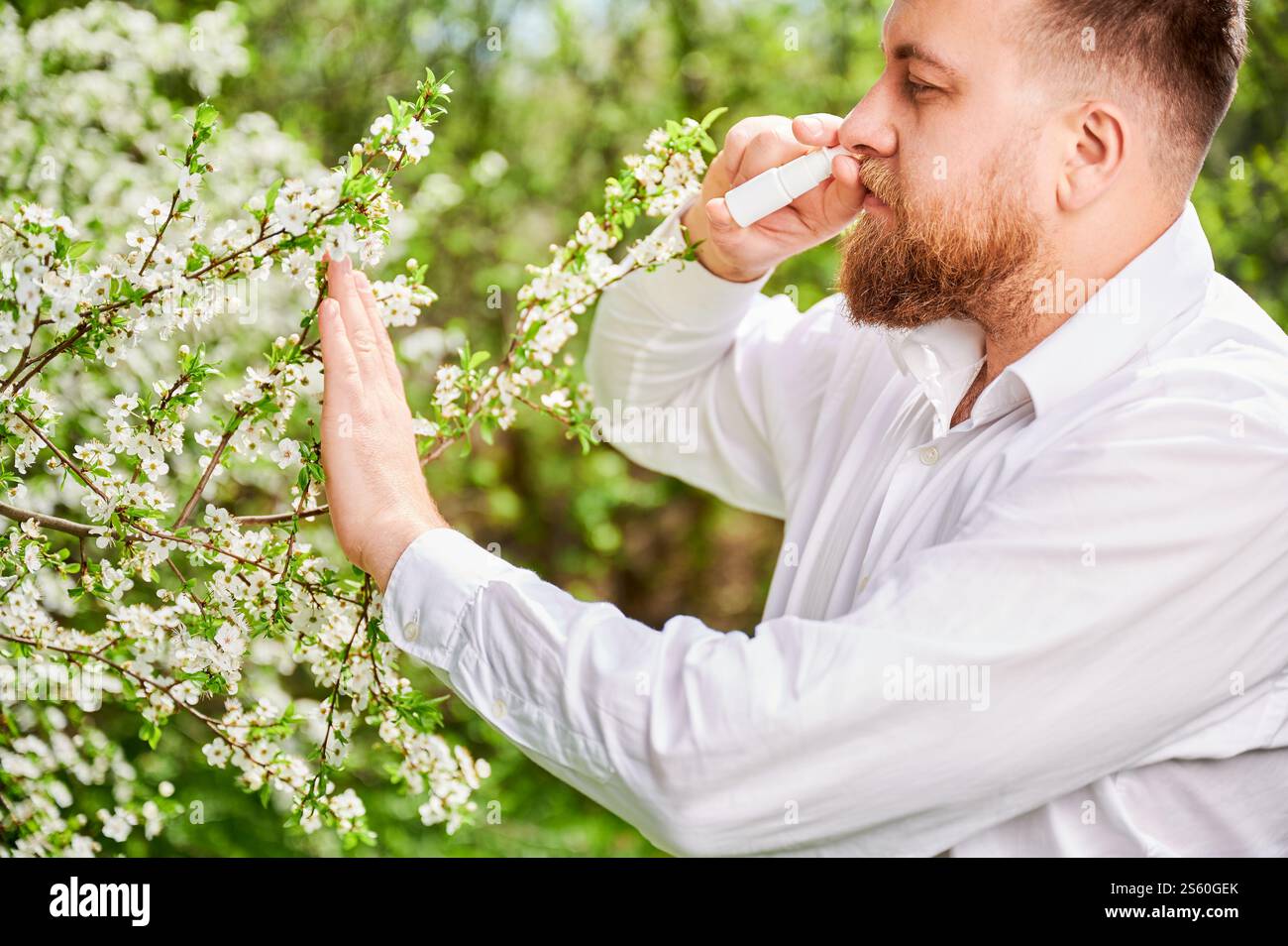 Man allergic using medical nasal spray, suffering from seasonal allergy ...