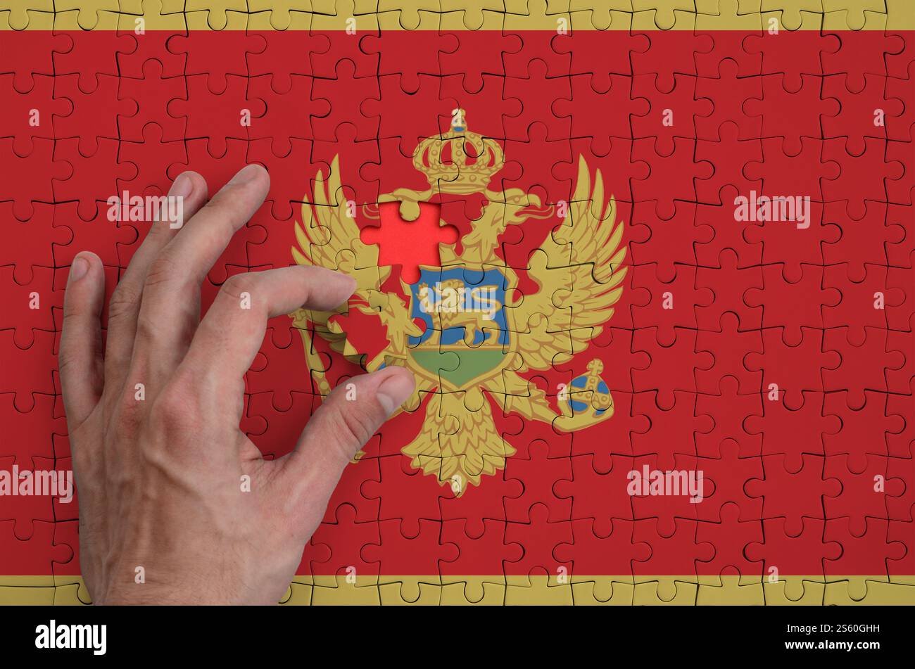 Montenegro flag is depicted on a puzzle, which the mans hand completes ...