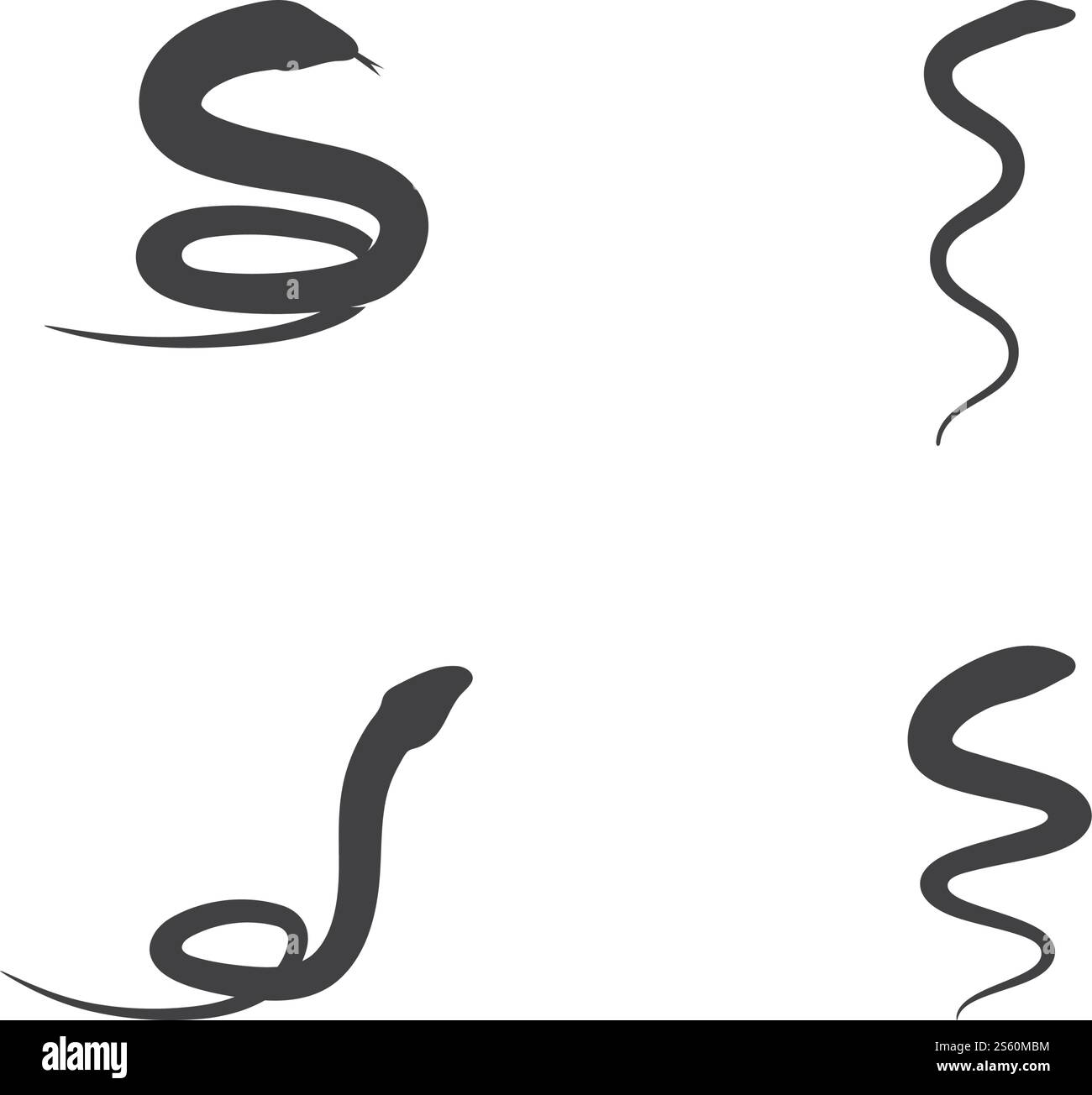 Snake logo vector ilustration template Stock Vector Image & Art - Alamy