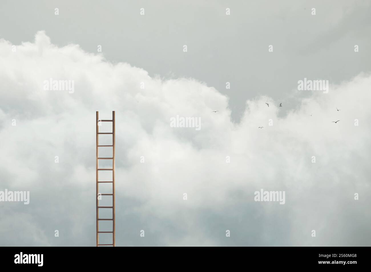 Escape ladder extends hi-res stock photography and images - Alamy