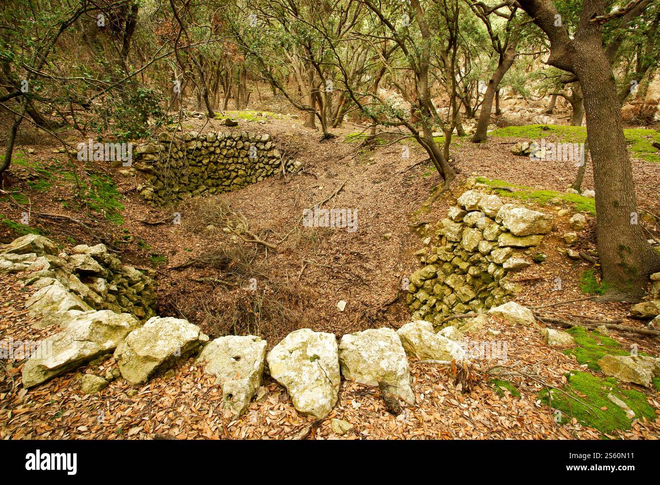 Traditional ice shed "Casa de nieve" in Puig de Sa Fita del Ram ...