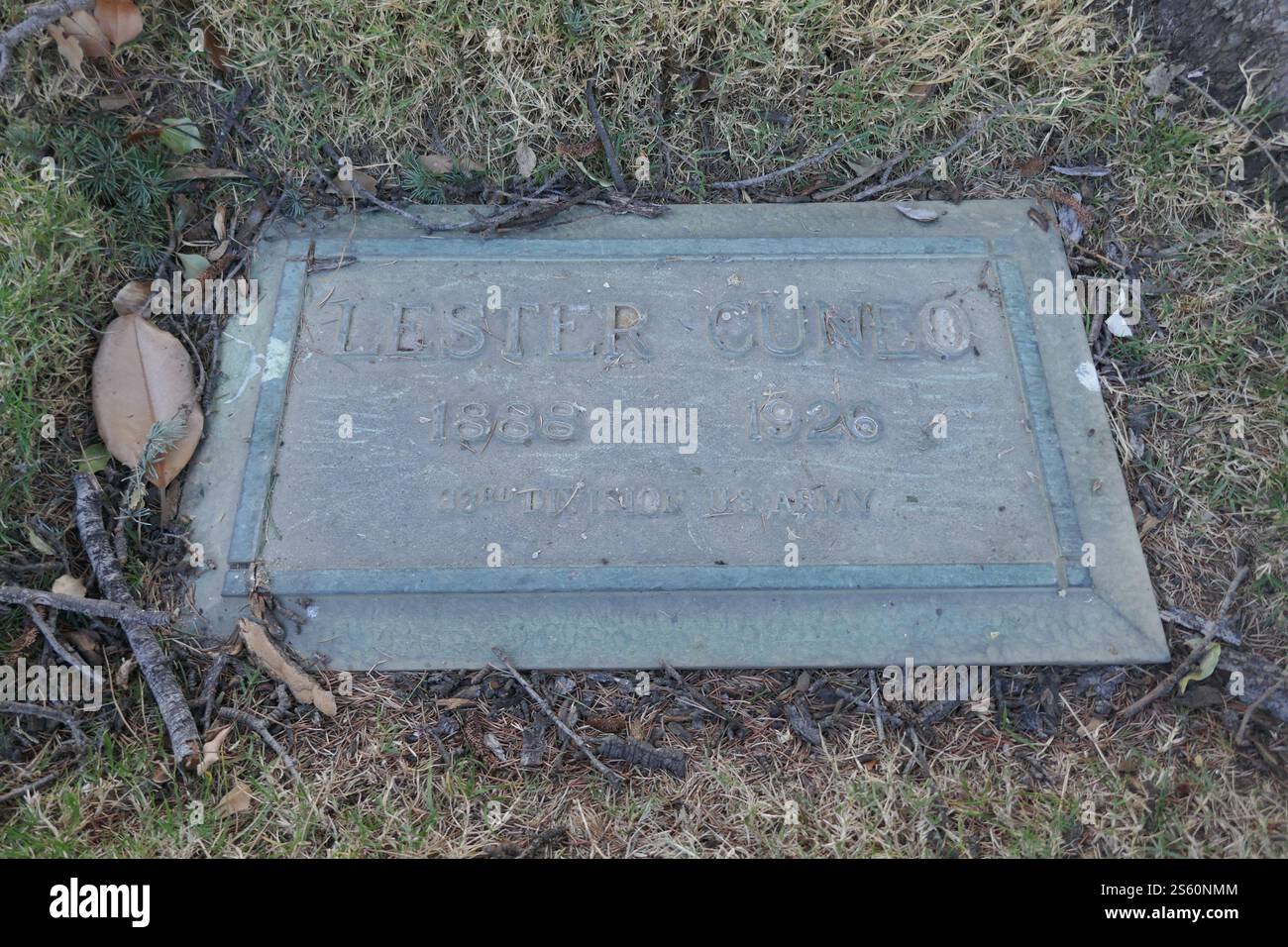 Glendale, California, USA 13th January 2025 Actor Lester Cuneo Grave in ...