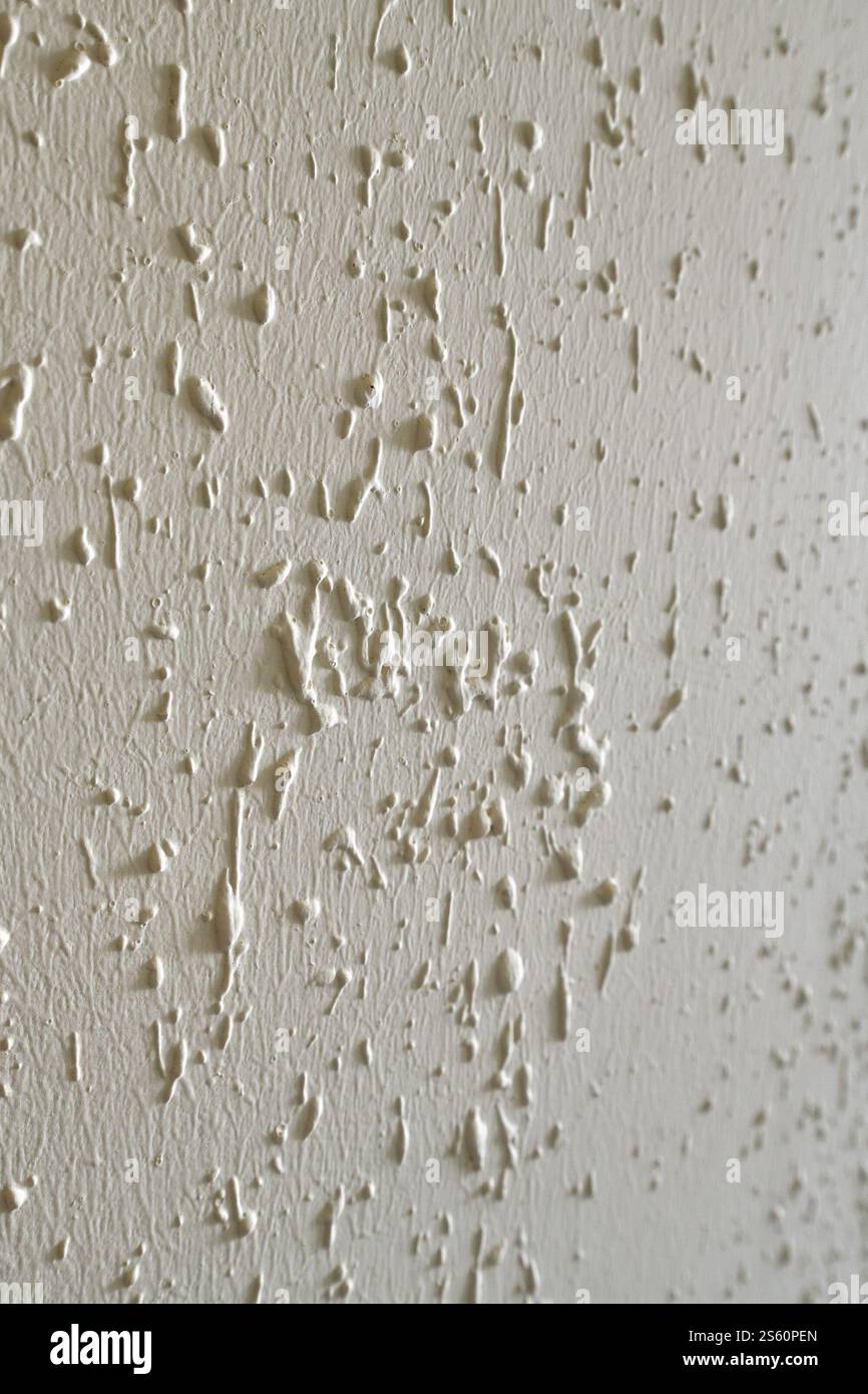 Textured paint for interior wall work Stock Photo - Alamy