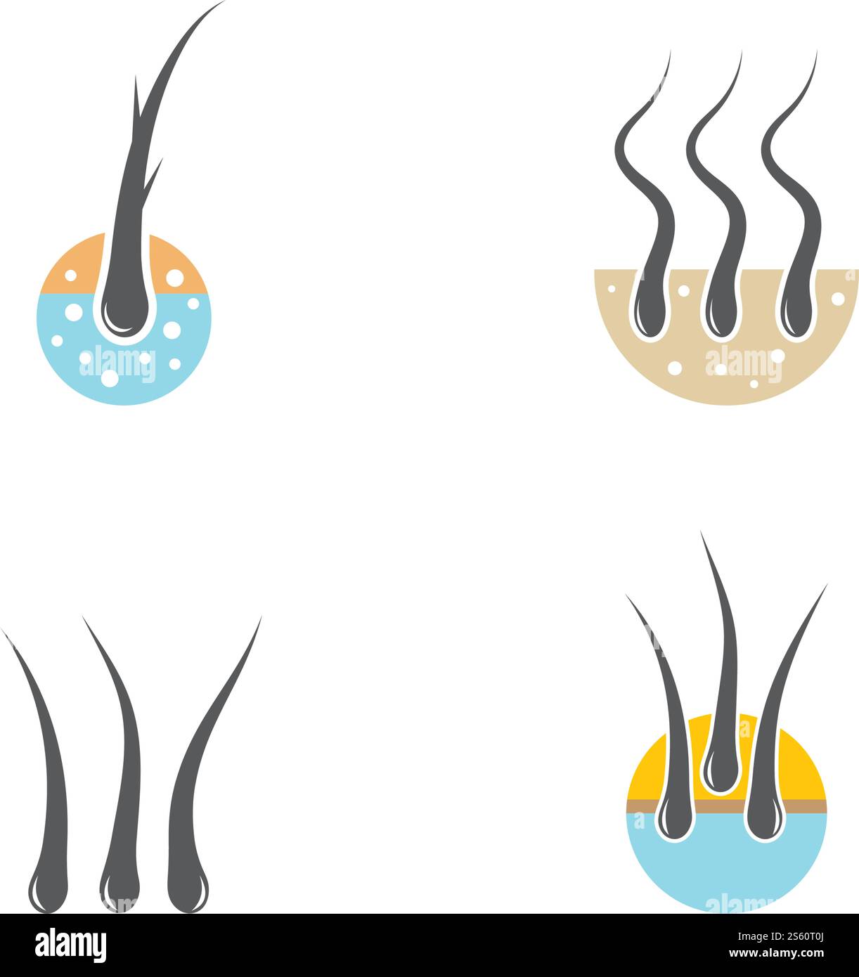 Follicle Hair treatment logo vector icon template Stock Vector Image ...