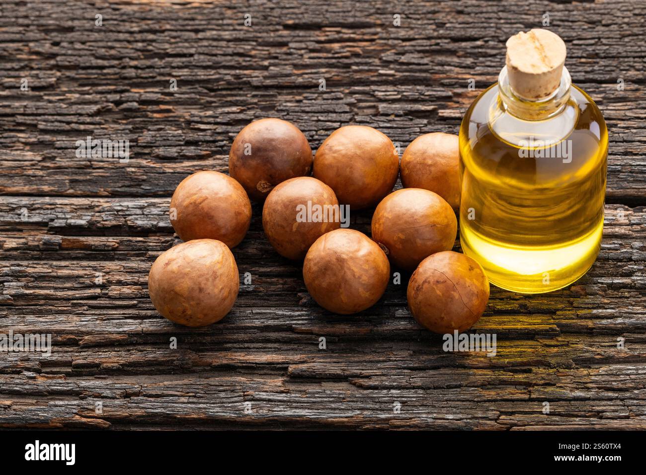 Macadamia integrifolia - Natural oil and macadamia nuts Stock Photo - Alamy