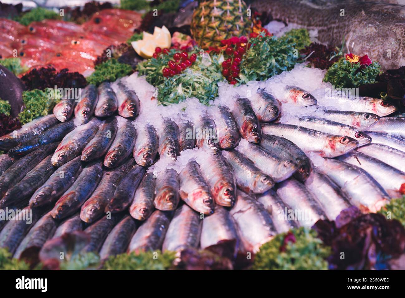 Assorted fresh seafood including fish and shellfish displayed on ice ...