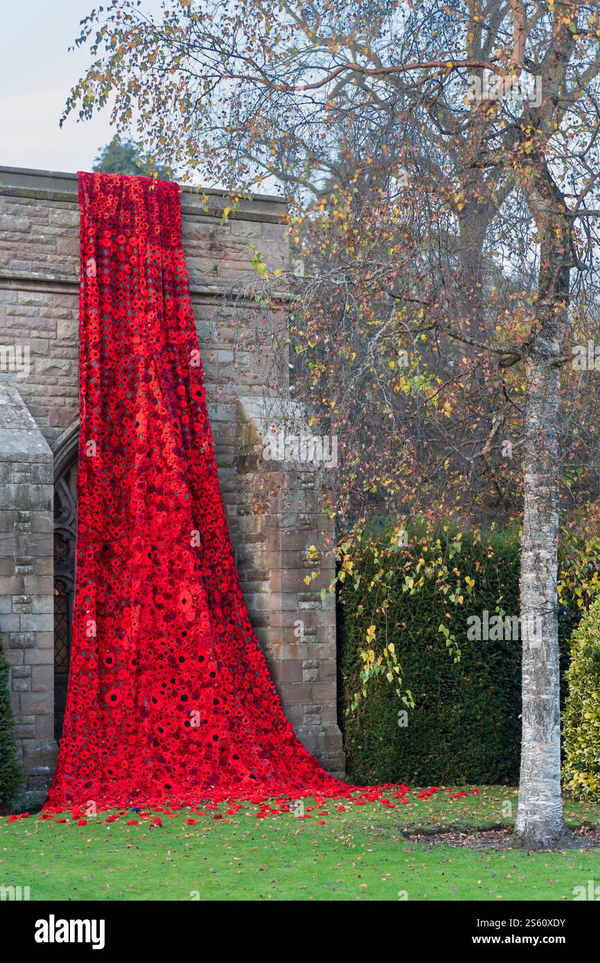 Kelso, Scotland: knitted poppies dress the war memorial garden for ...