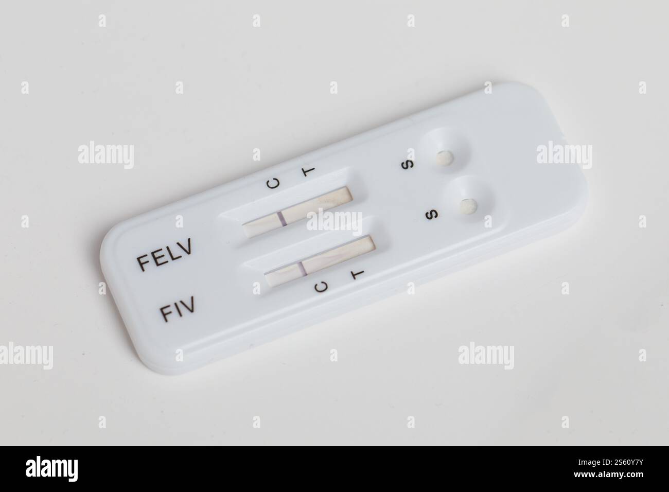 Combo test for detection of FIV and FeLV in cats. Negative feline ...