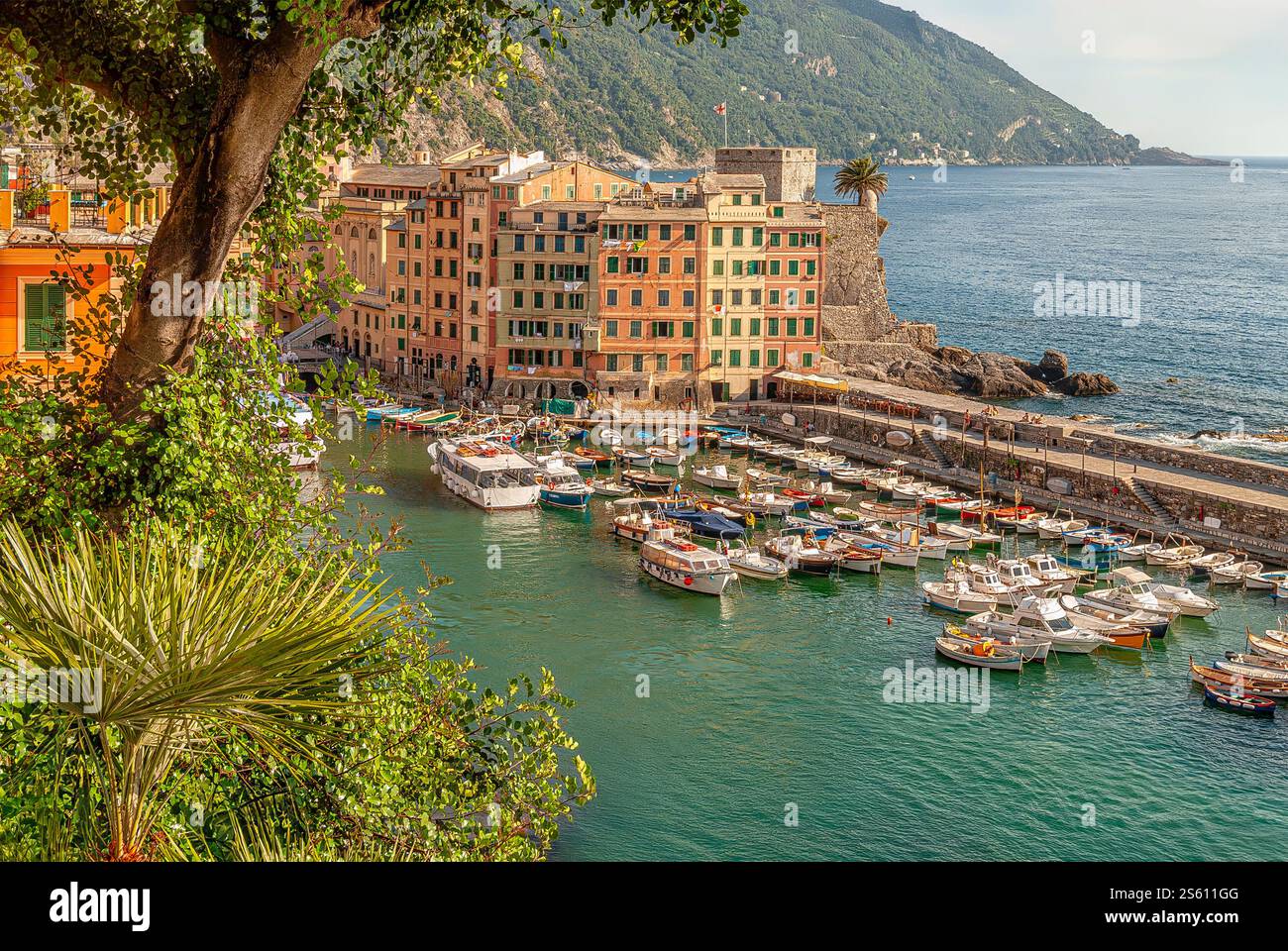 Fishing Port of Camogli in Liguria, North West Italy Stock Photo - Alamy