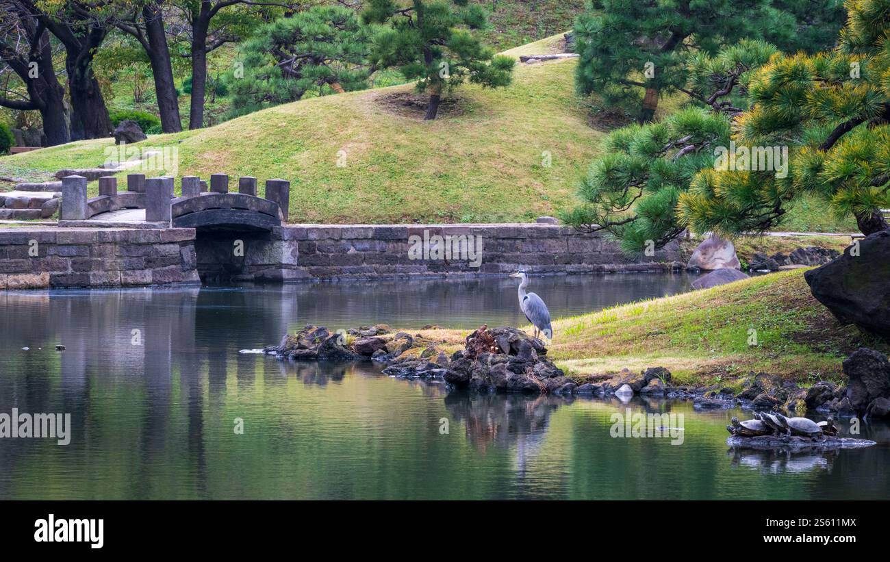 Kyu Shiba Rikyu Japanese Gardens, Tokyo, Japan Stock Photo - Alamy