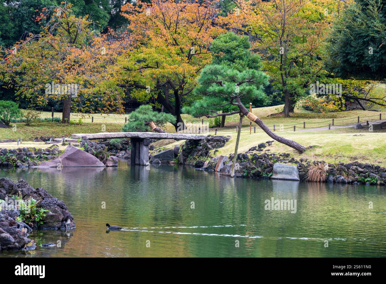 Kyu Shiba Rikyu Japanese Gardens, Tokyo, Japan Stock Photo - Alamy