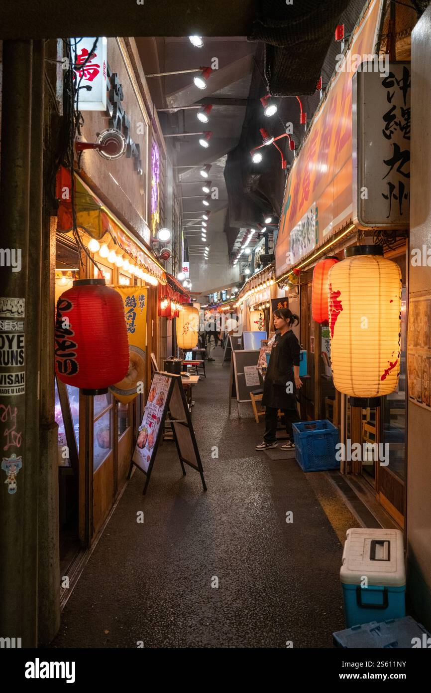 Small Local Restaurants under the Railway Arches, Ginza, Tokyo, Japan ...