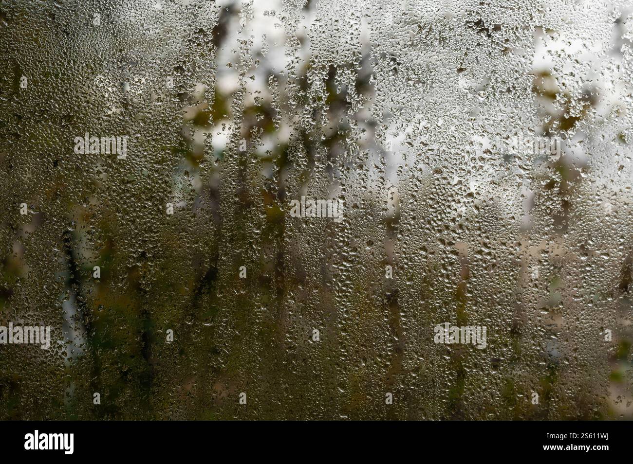 high humidity condensation on the window glass Stock Photo - Alamy