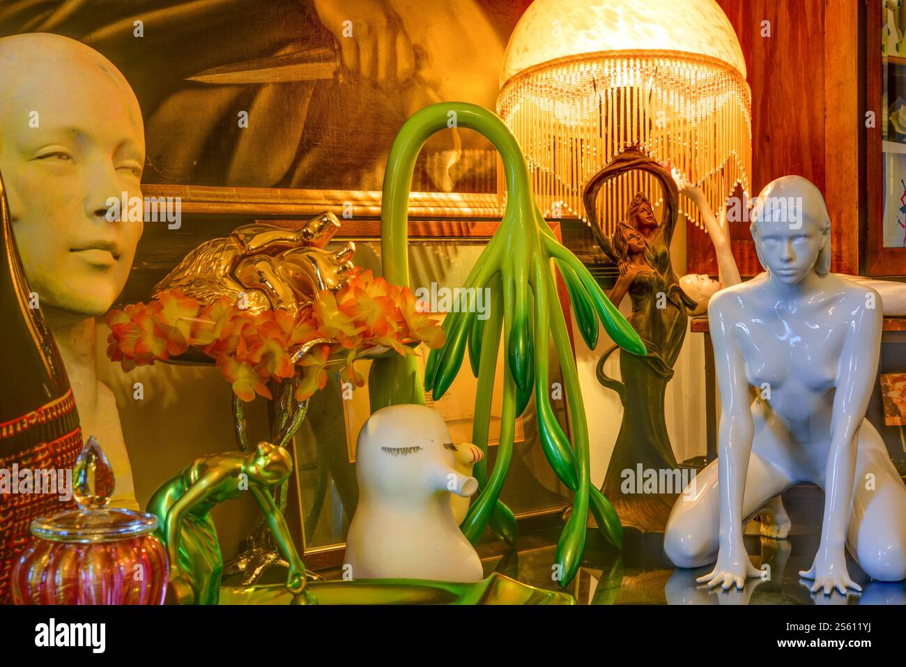 Wunderkammer // Chamber of Wonders Stock Photo - Alamy
