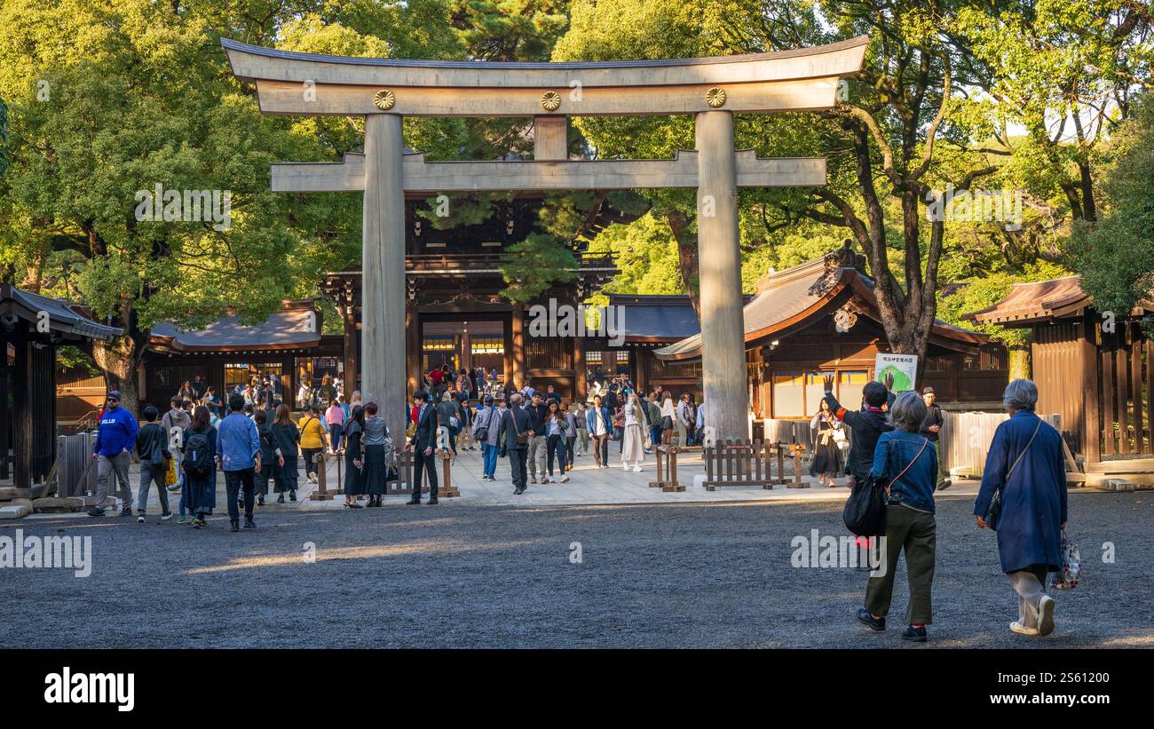 Torii Gate at Meiji Jingu Shrine in Central Tokyo, Japan Stock Photo ...