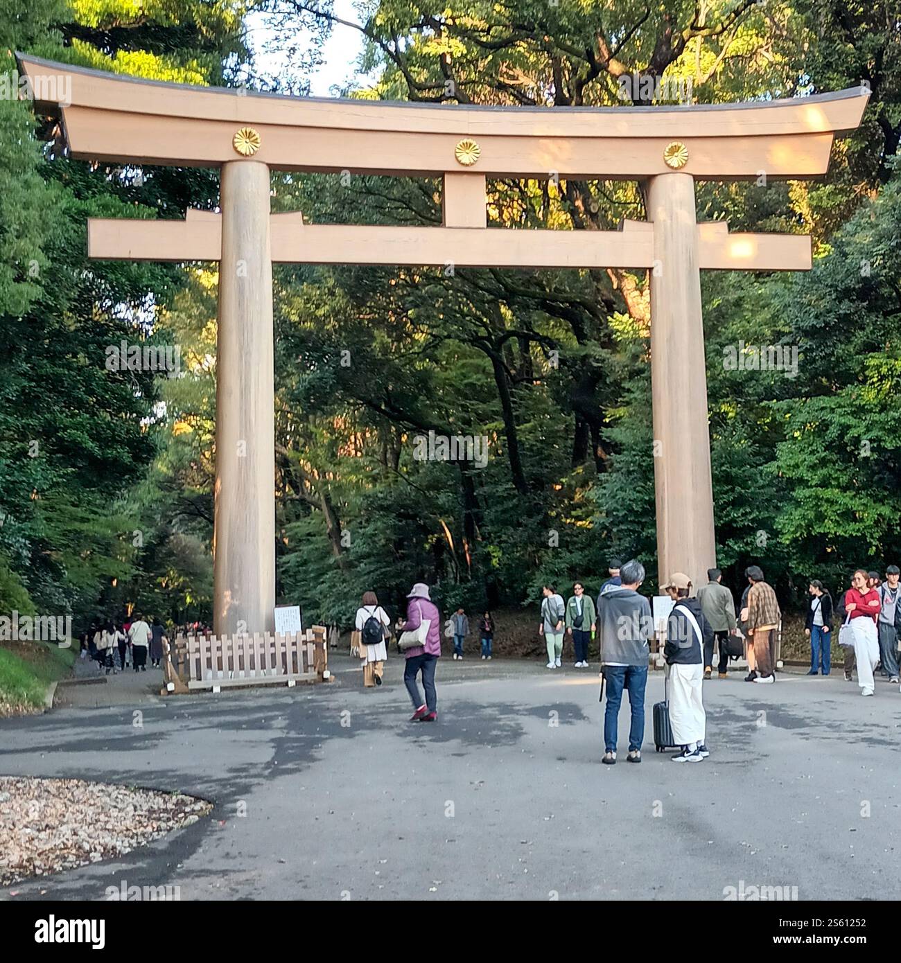 Meiji Jingu Shrine in Central Tokyo, Japan Stock Photo - Alamy