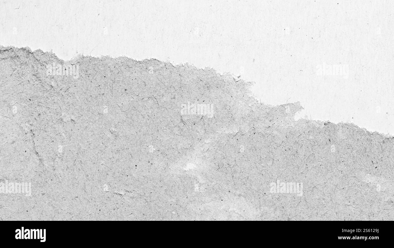 Torn gray white paper cardboard message background page with rough ...
